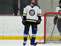 St. Louis Sting Hockey
